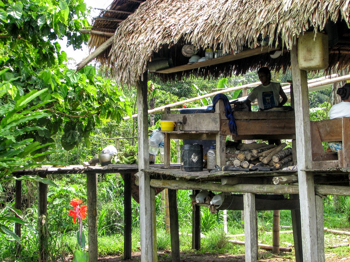 Traditional Yucca Bread-Making with the Siona Community in the Amazon ...